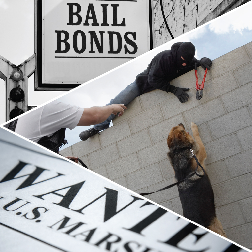 Bail Bonds Recovery Agents – Security Products