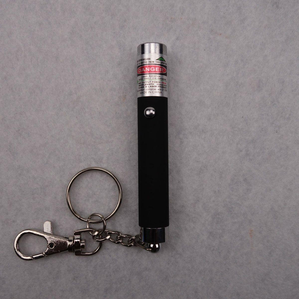 Small Laser Pointer Green Light Black-Shell-Key-chain – SDP Inc